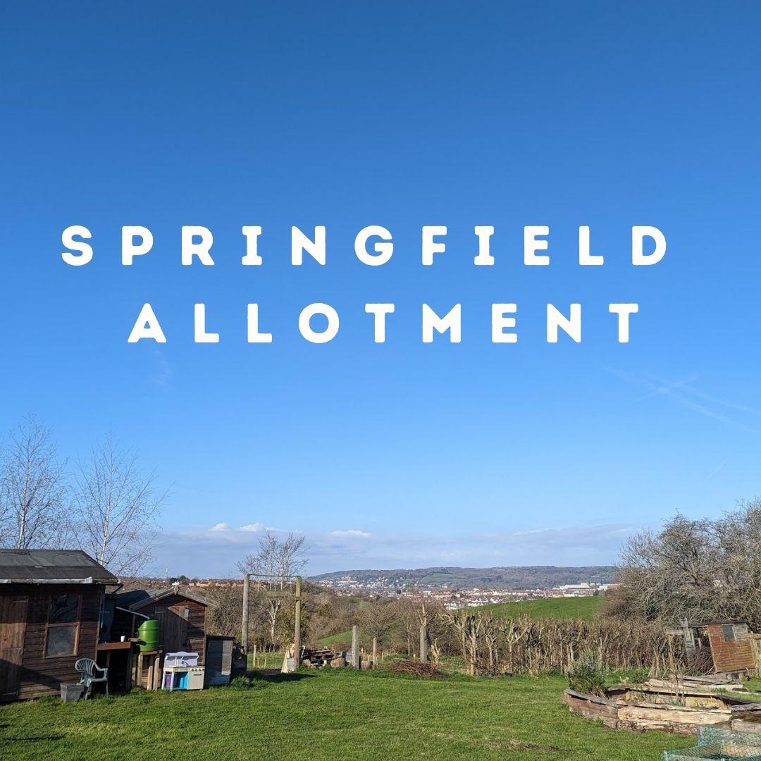 Springfield Community Allotment – Knowle West Alliance