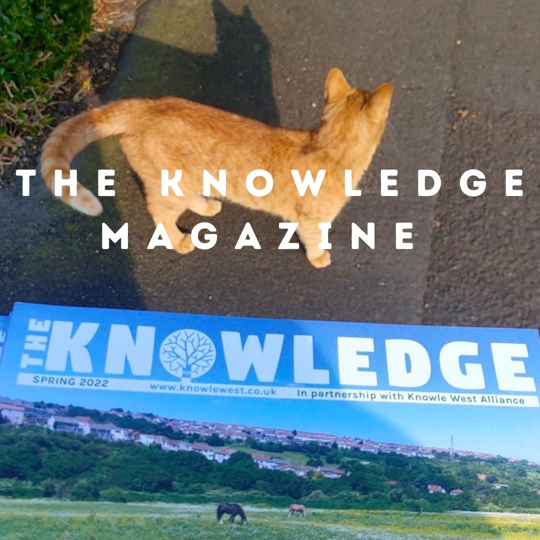 The Knowledge – Knowle West Alliance